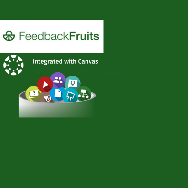 Feedbackfruits | Canvas